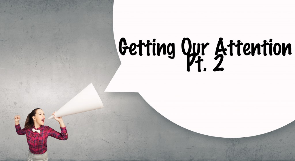 Getting Our Attention part 2 - Music Gorilla